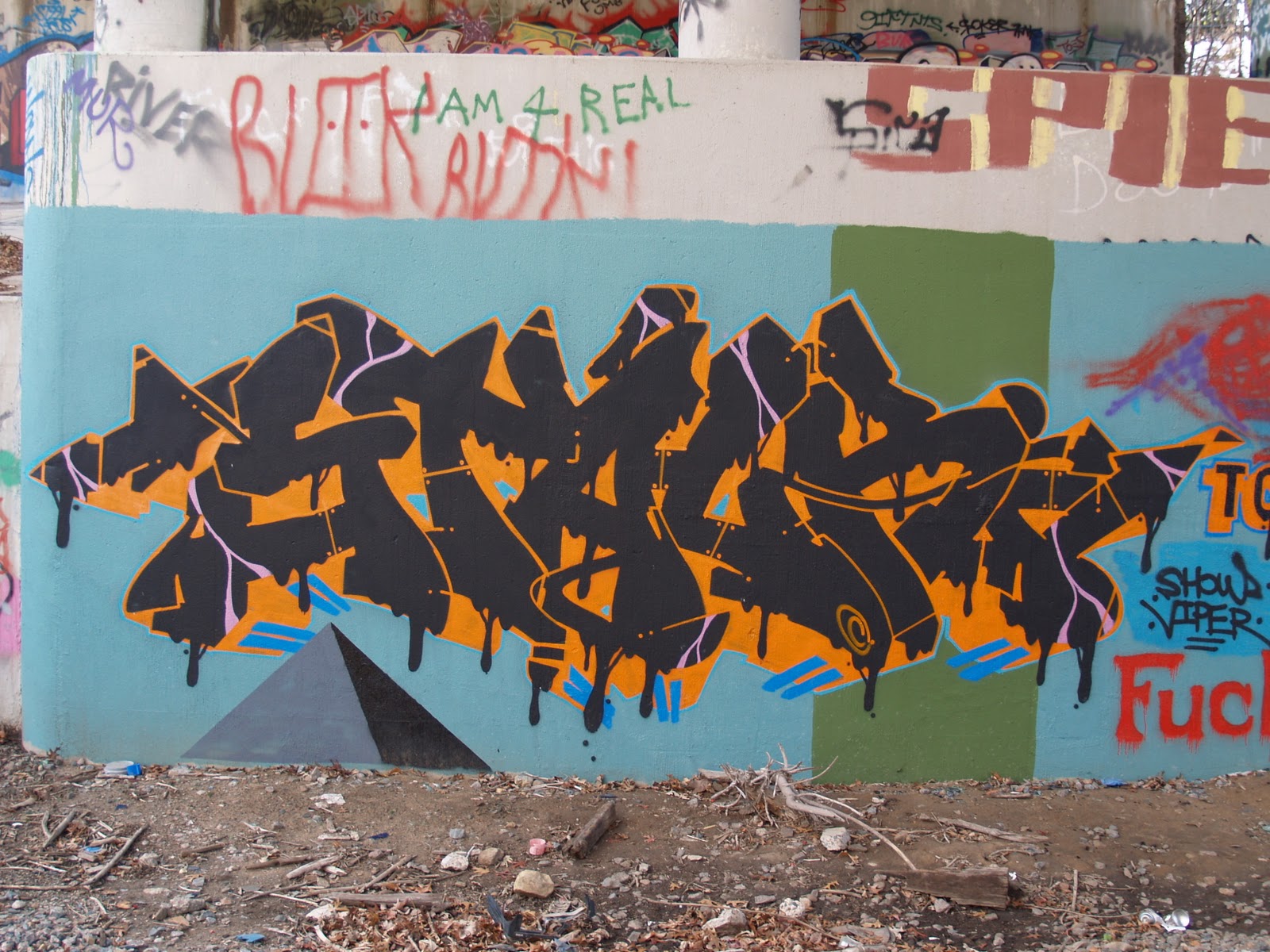 The introduction to graffiti