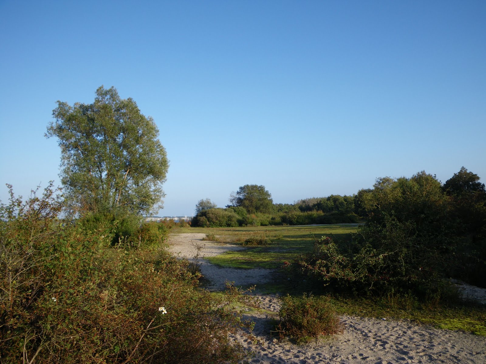 Arne's kajak blog: Therapie op eiland Het Hooft.