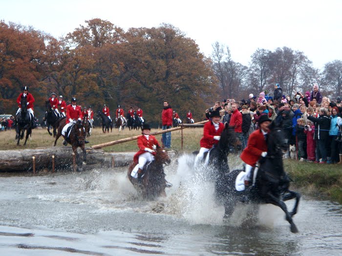 Bonden i stan: Fox hunting in Copenhagen/Dyrehaven/The Deer Park