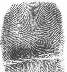 Papi: Clave Chilena de 14 valores