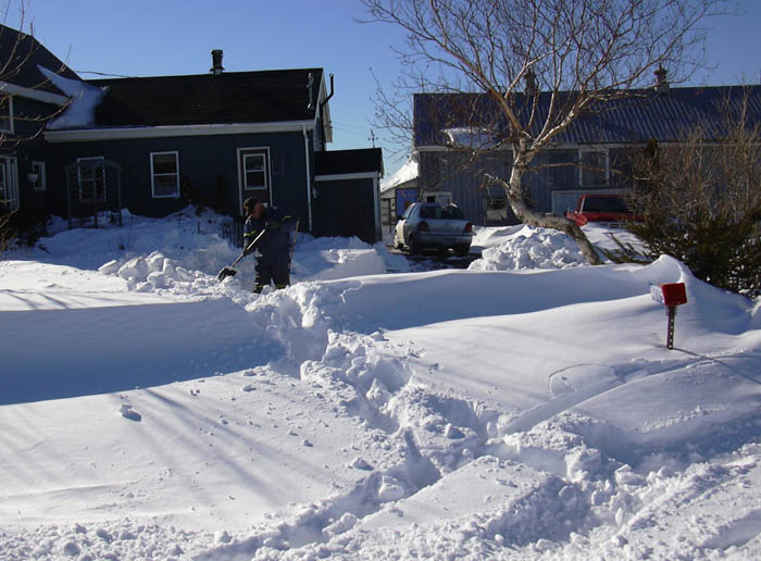 Bloomingwriter: Gardening in Nova Scotia: Flurries where winds blow on ...