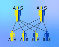 la drépanocytose: Les causes
