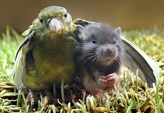 ON THE CARDS: January 2011