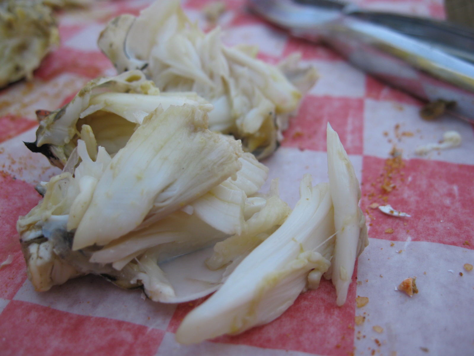 Fatback and Foie Gras: 2010