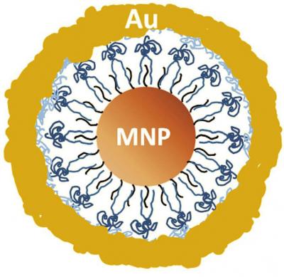 Multifunctional nanoparticle enables new type of biological imaging ...