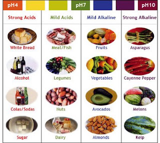 We Are What We Eat Project: A Diagram of Strong Acids, Mild Acids, Mild ...