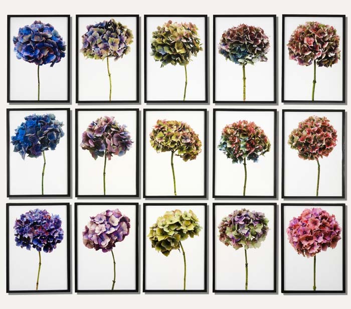 Kate Kelleher: Rachel Lévy