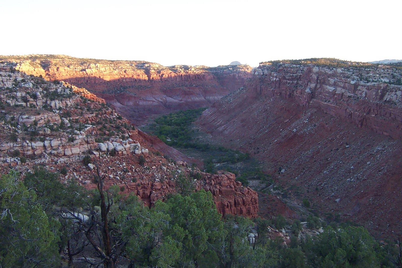 Arizona Jones Too: Yellow Rock and Hackberry Canyon, Utah