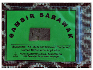 Gambir Sarawak Asli