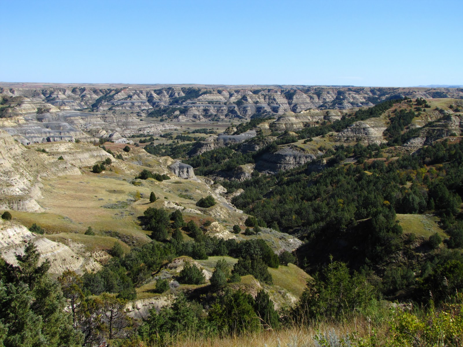 To Behold the Beauty: TRNP - The North Unit