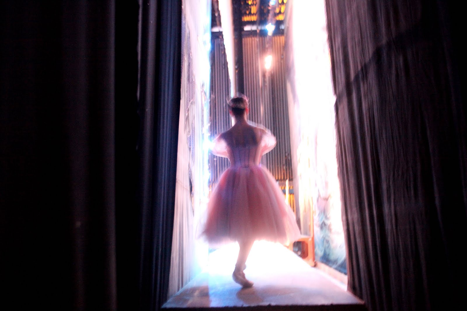 Erika Schultz's Photography Blog: Nutcracker Ballet Partial Dress Rehearsal
