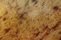 Faux Painting For Dummies: Faux Painting Techniques: Tortoise Shell