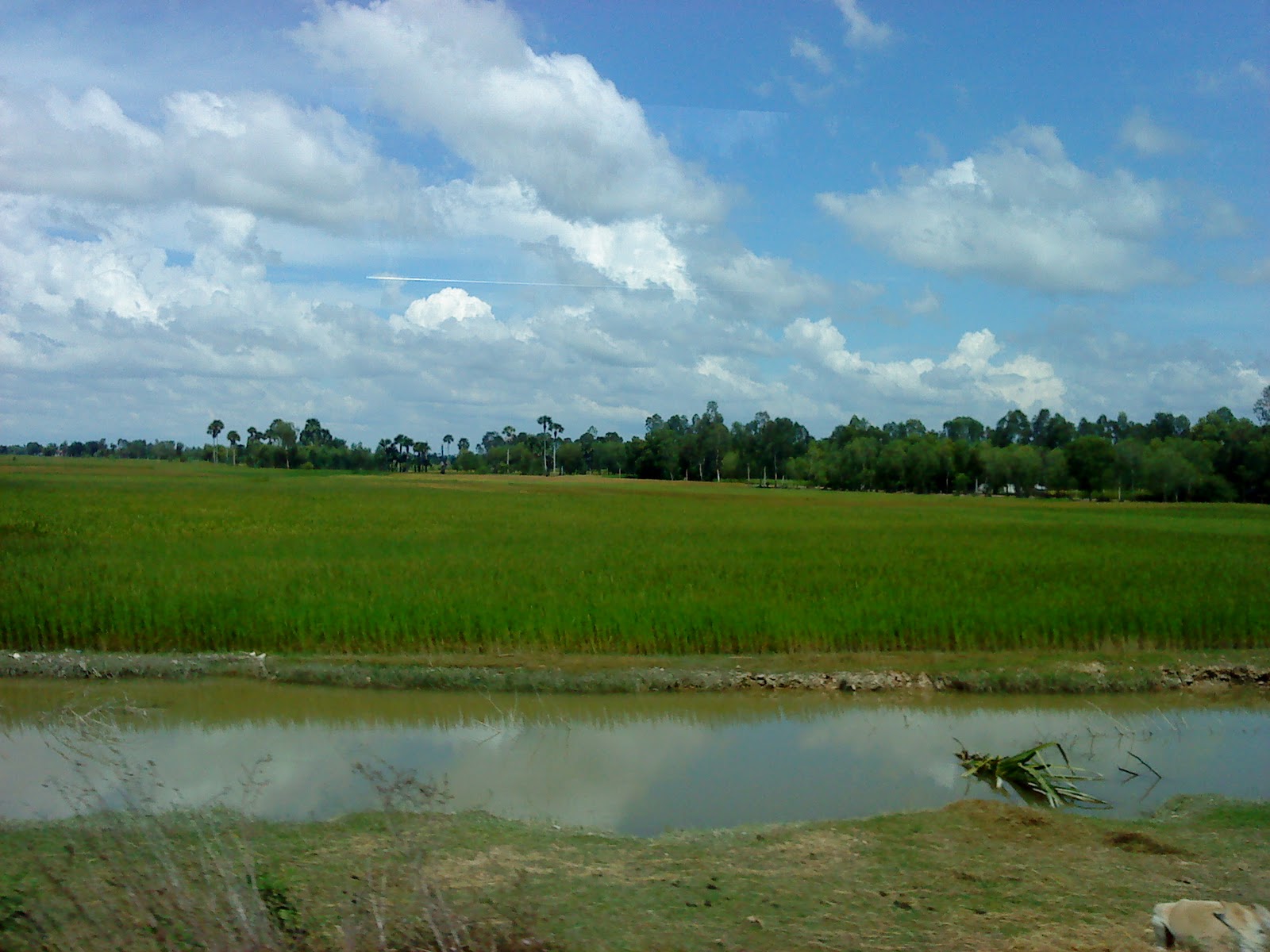 Cambodia's Photography Blog: Svay Rieng Province