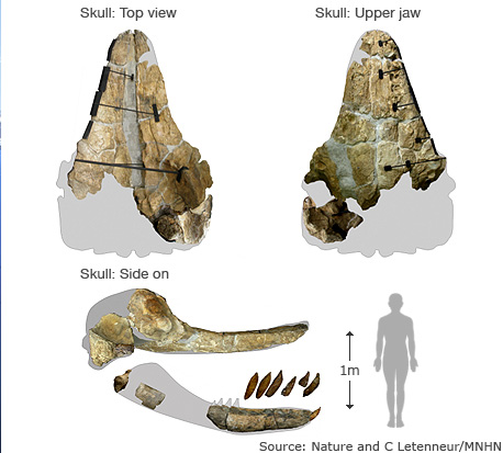 Leviathan discovered and it ain't a crocodile