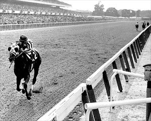 eVeLyNn .....: Secretariat, el mejor caballo de carreras de la historia.