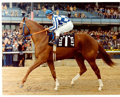 eVeLyNn .....: Secretariat, el mejor caballo de carreras de la historia.