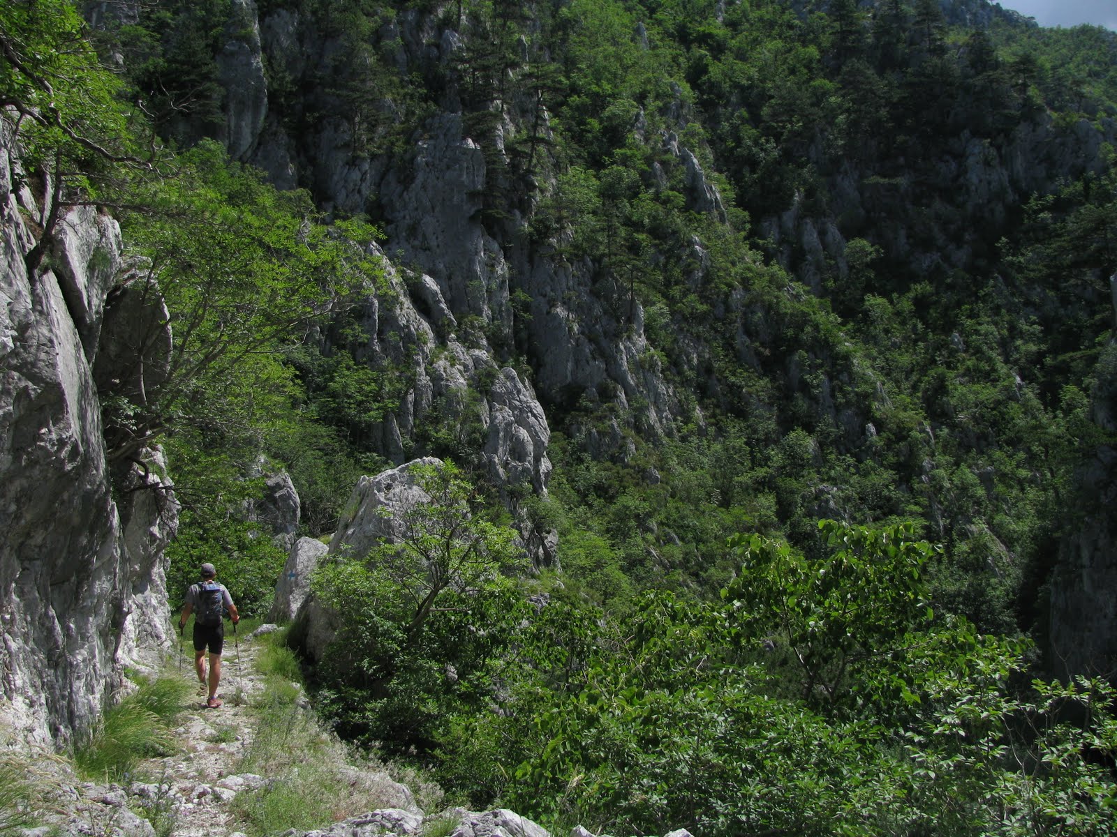 Anii cei mai frumosi in mijlocul naturii: Trail-(running) finding la ...