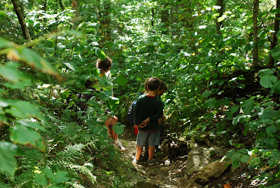 The Homesteading Hussy: Climbing Mountains