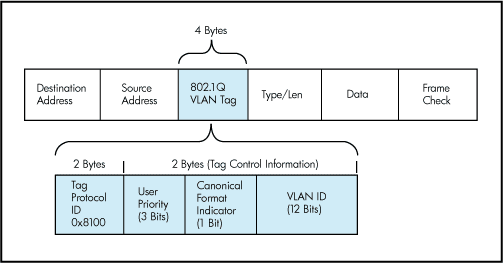 Rookie worker: IEEE 802.1Q VLAN Tag in Ethernet Frame