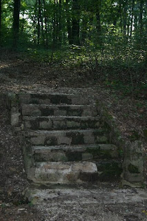 Scenic Indiana: Martin State Forest July 27, 2010