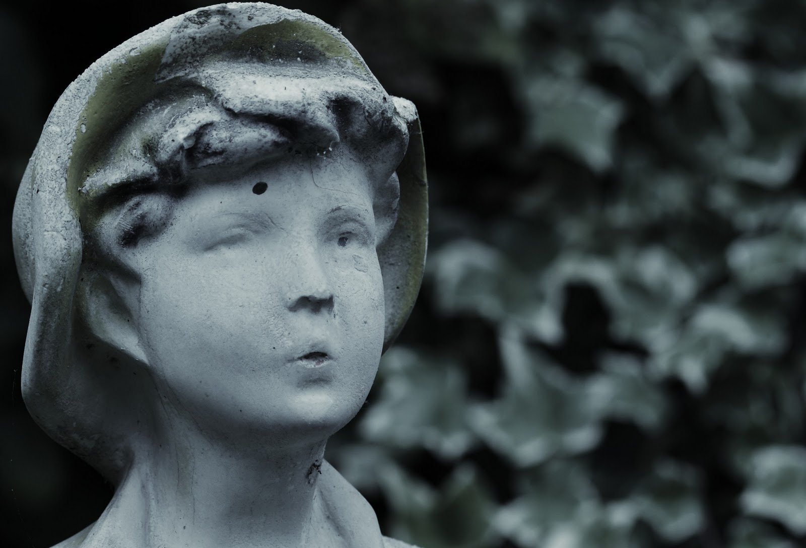 David Harris Photography: October 2010