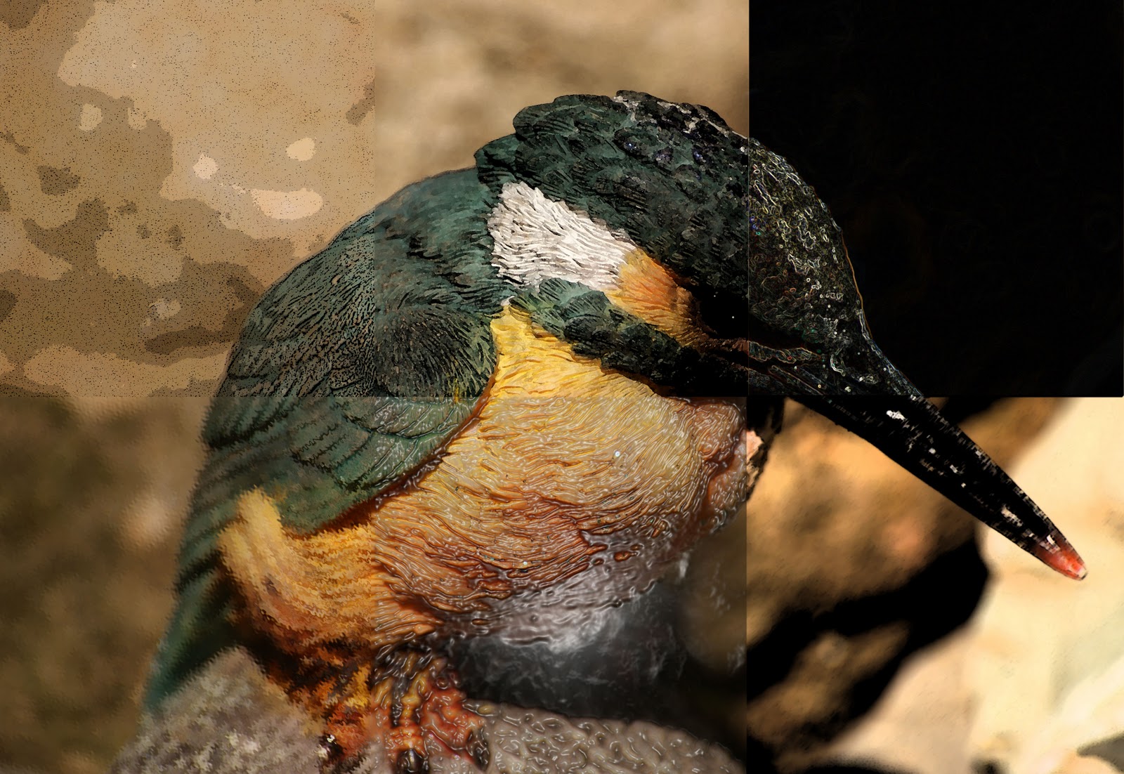 David Harris Photography: Photoshop Task 2