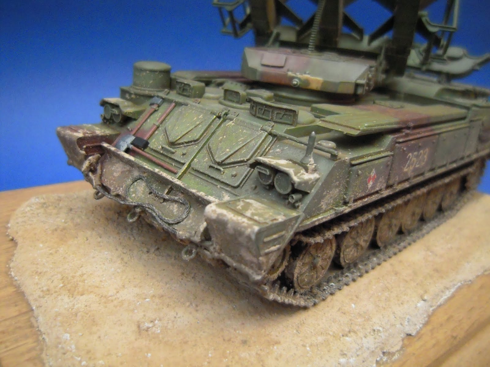 Tango-Mike Squadron: SAM-6 Pologne