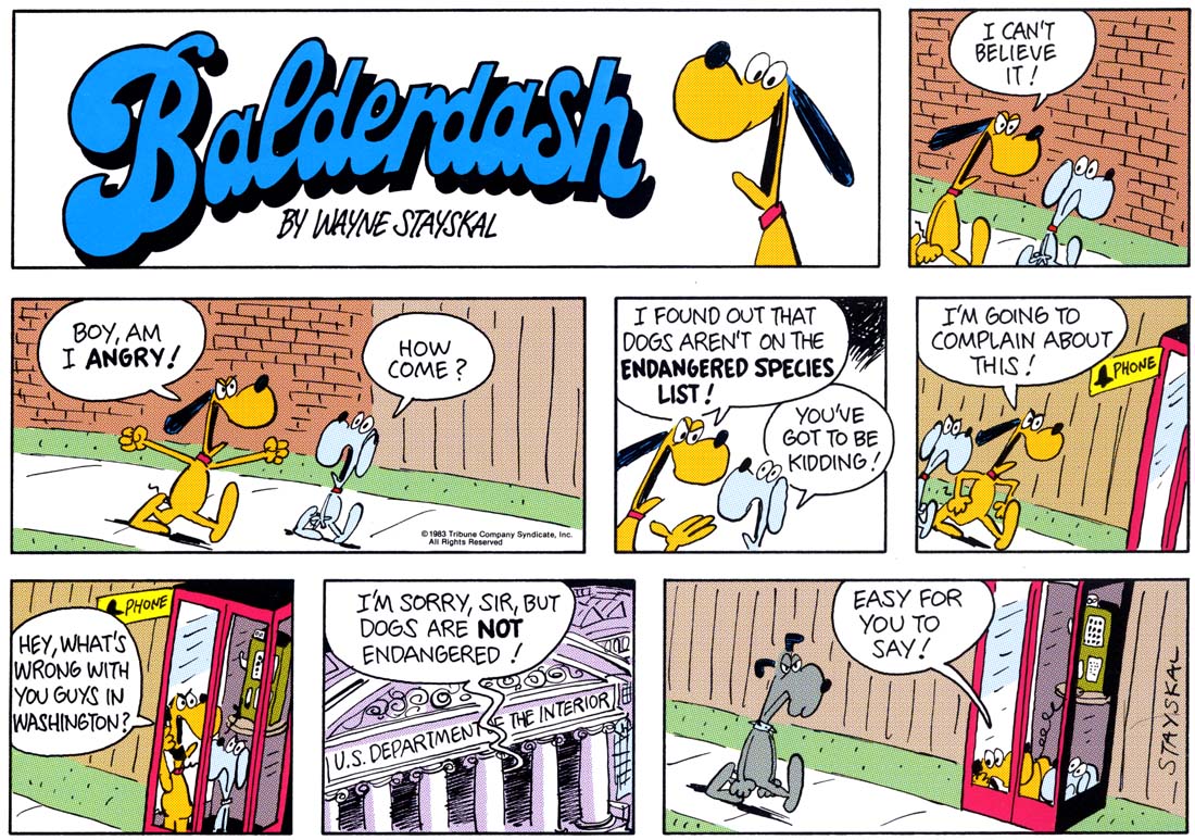 Stripper's Guide: Obscurity of the Day: Balderdash