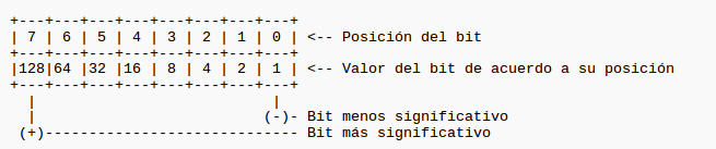 Carmen Suarez: Bit (Binary Digit)