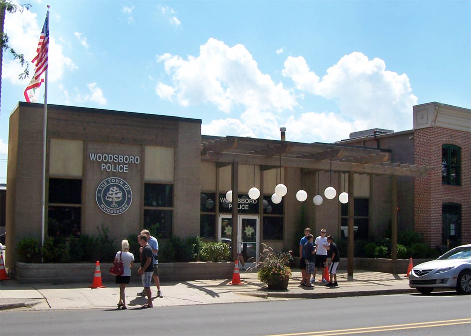 Quasi-Interesting Paraphernalia Inc.: The Troubled Town of Woodsboro