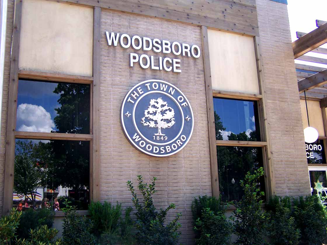 Quasi-Interesting Paraphernalia Inc.: The Troubled Town of Woodsboro
