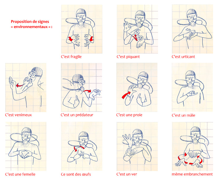 les sentinelles bleues: août 2010