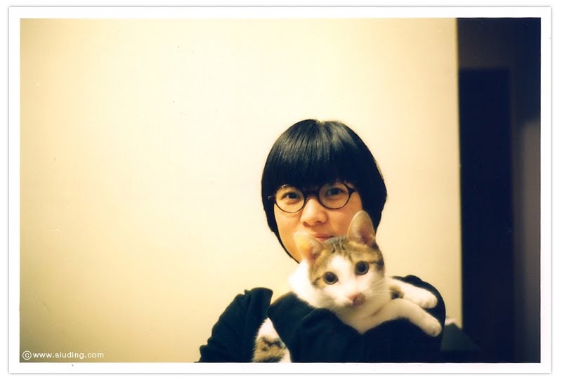 siuding 小丁: 對面的貓貓看過來
