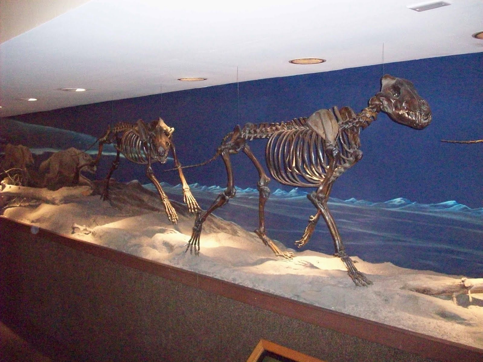 BUMMER-FREE ZONE: LA BREA MEANS TAR IN SPANISH