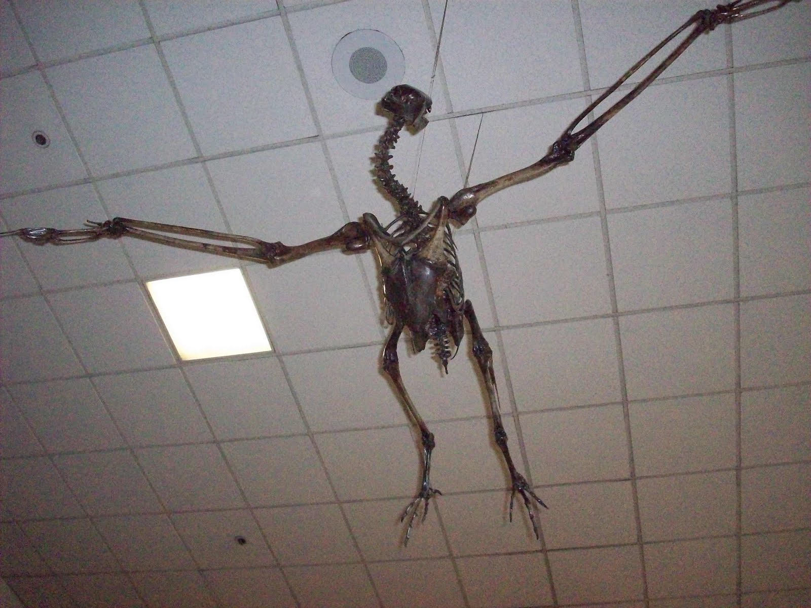 BUMMER-FREE ZONE: LA BREA MEANS TAR IN SPANISH