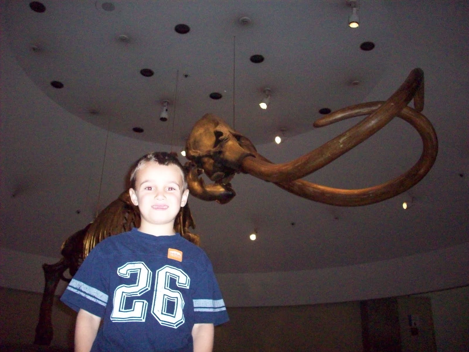 BUMMER-FREE ZONE: LA BREA MEANS TAR IN SPANISH