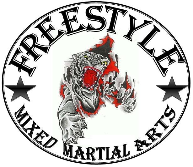 freestyle mixed martial arts: boxe da equipe freestyle mma