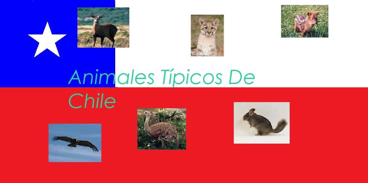 Animales Tipicos de Chile: ¡Hola!