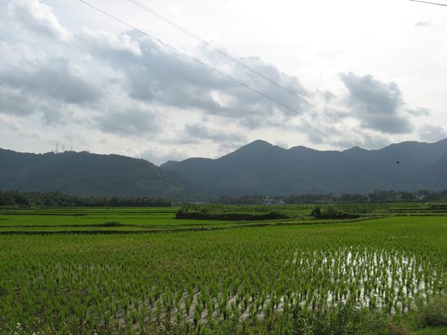 Love to Travel: PUNALUR- SHENKOTTAI METER GAUGE– AN ECSTATIC TRAIN JOURNEY