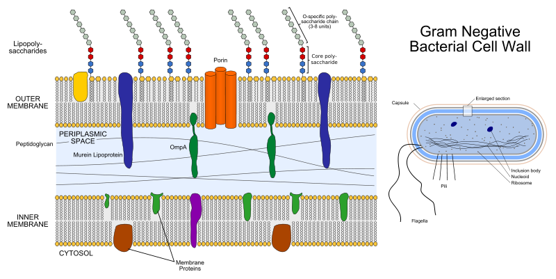 Xtal-WebAry: Membrane proteins