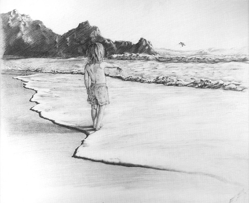 Newton's Throwing Starfish: The Starfish Story