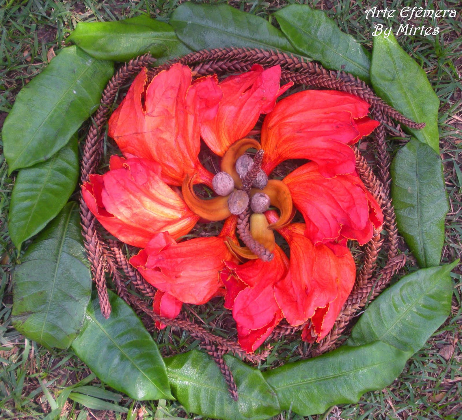 MFP.Designer: Apresentação da Arte Efêmera