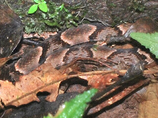 Jan Axel's Blog: July 2010