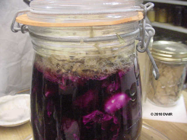 Gardening along the creek...: Fido Jar Fermenting Basics