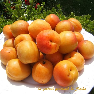 Mon délicieux jardin secret ( blog : confitures , liqueurs , vins et ...