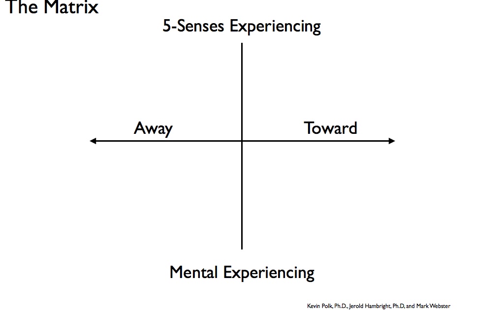 The ACT Matrix by Kevin Polk: The Matrix: Moving Toward Values in the ...