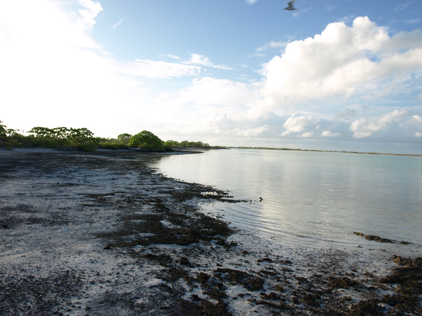 Kiritimati: Captain Cook Hotel - New Fishing Paradise