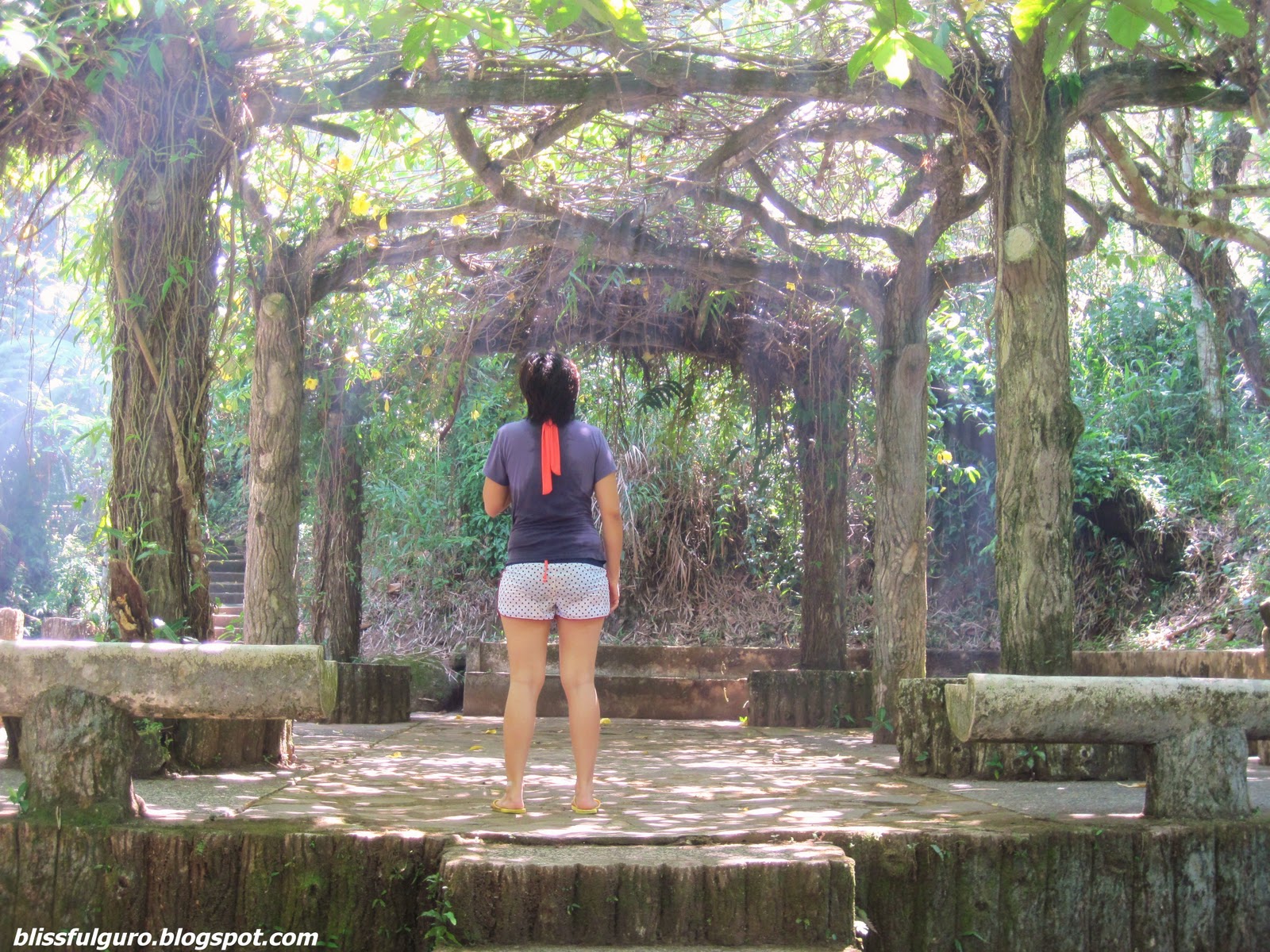 Consocep Falls (Mt. Isarog- Tigaon, Camarines Sur) - blissfulguro