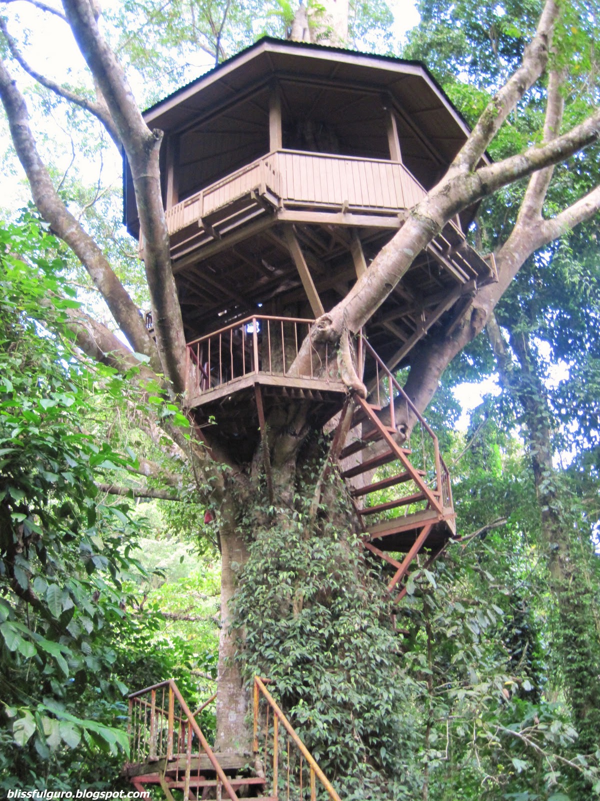 Consocep Falls (Mt. Isarog- Tigaon, Camarines Sur) - blissfulguro