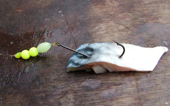 My fishing - How to catch a fish: Fishing baits. Mackerel. How to ...